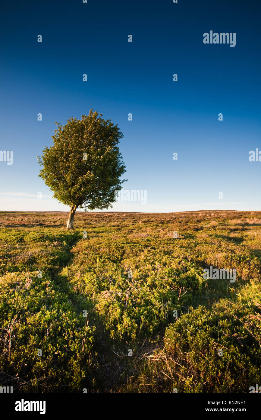 Lone way hi-res stock photography and images - Alamy