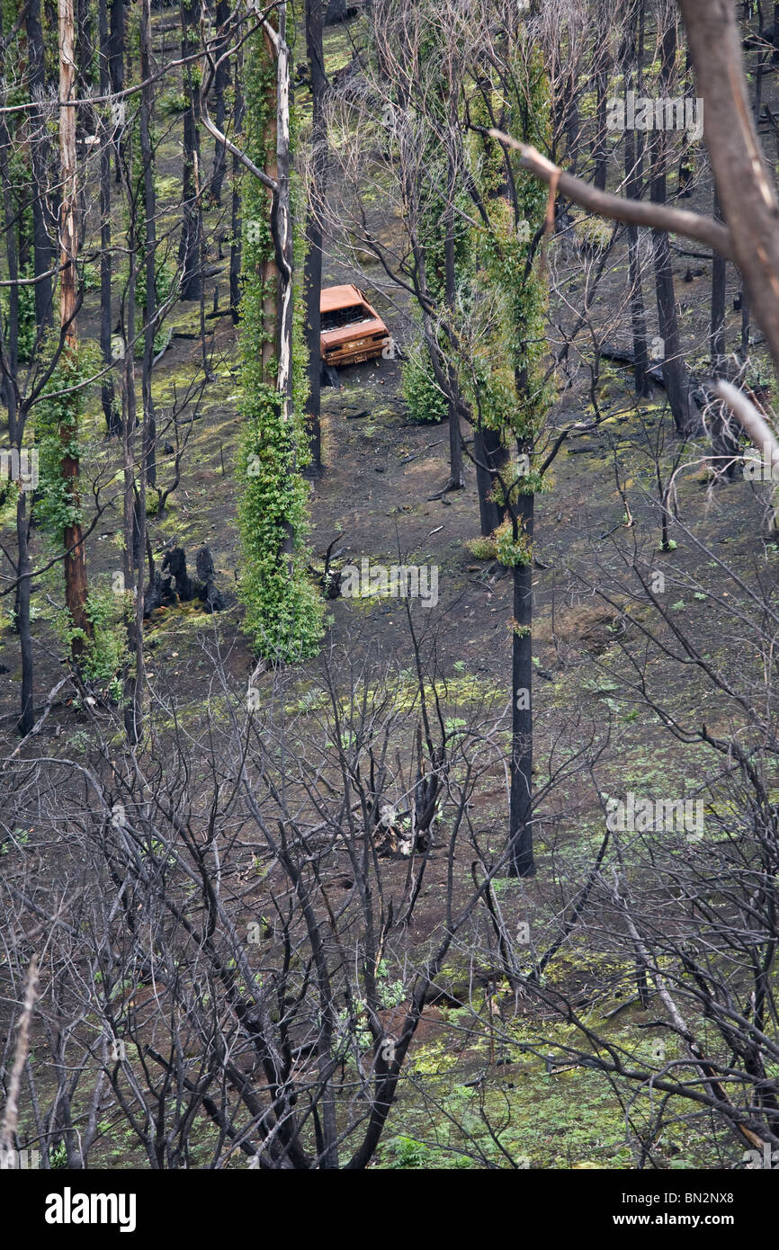 Black saturday bushfire hi-res stock photography and images - Alamy