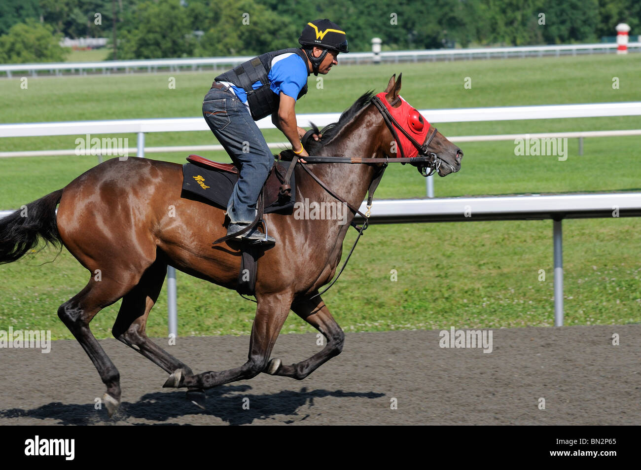 Thoroughbred horse and exercise jockey at the Keeneland horse racing ...