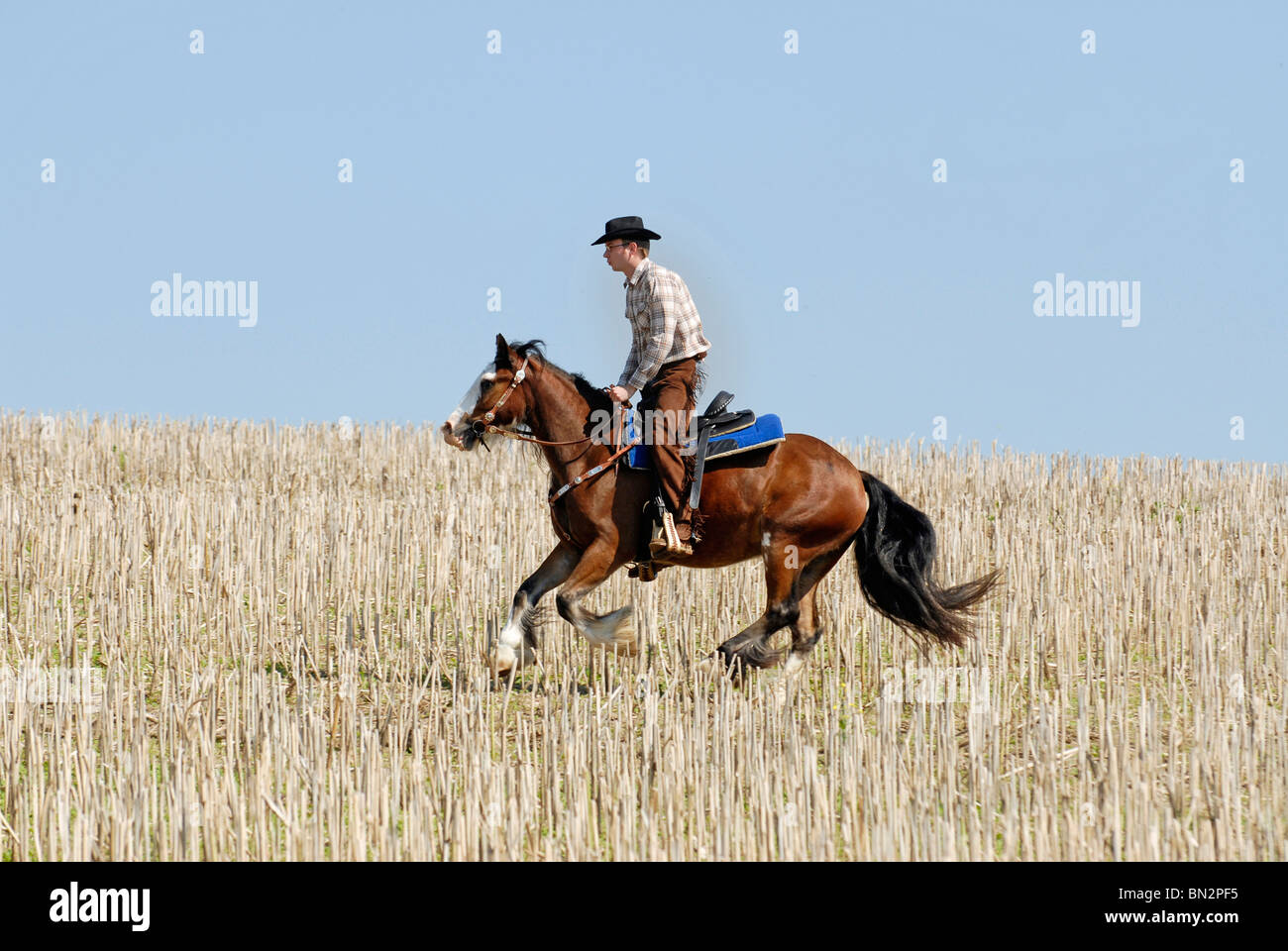 Side profile of a man riding a horse hi-res stock photography and ...