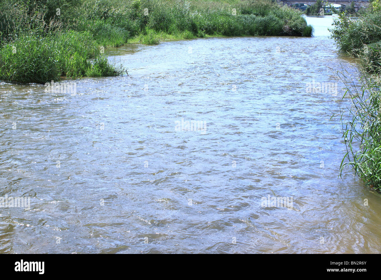 waves on the surface of a river or river bordered by a vegetation Stock ...