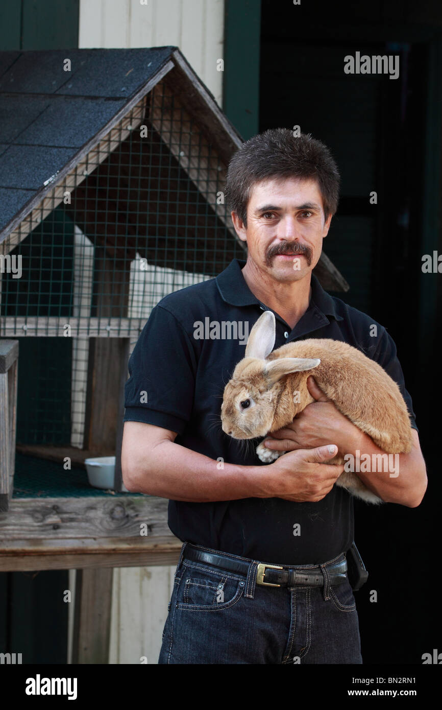Hispanic man holding rabbit Stock Photo - Alamy
