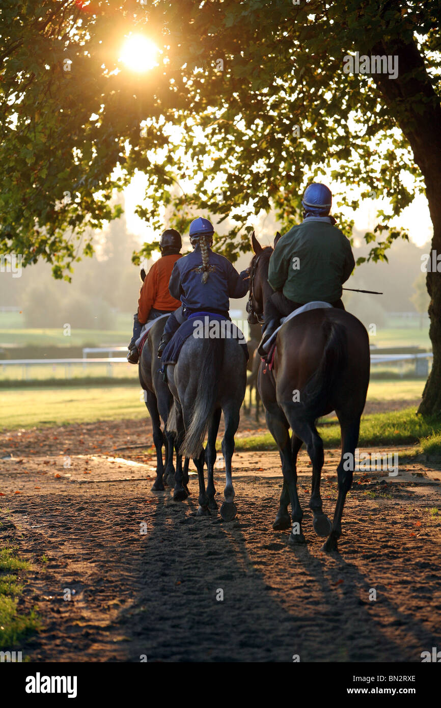 Jockeys ride horses during hi-res stock photography and images - Alamy
