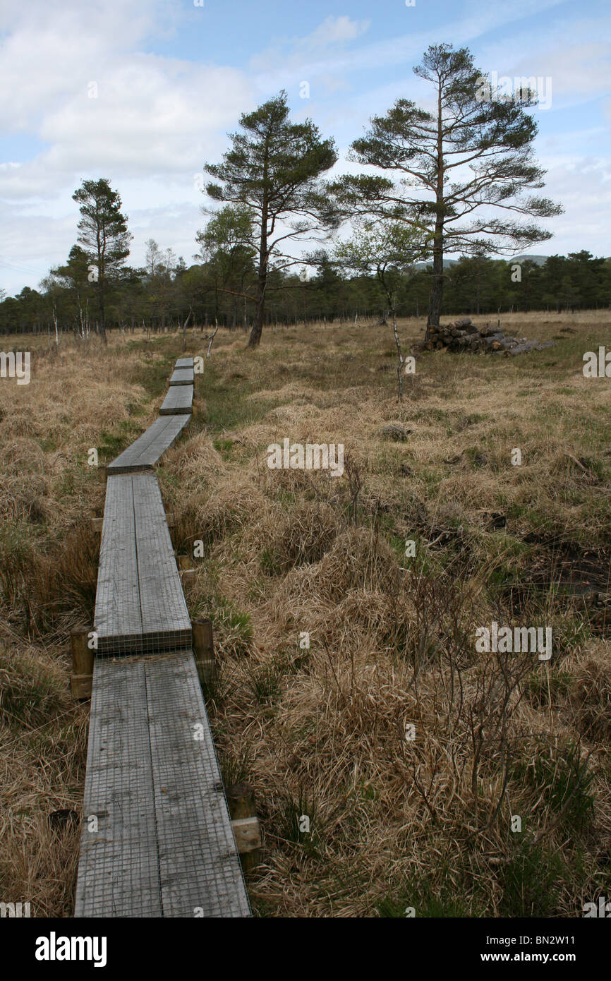 Rusland valley hi-res stock photography and images - Alamy