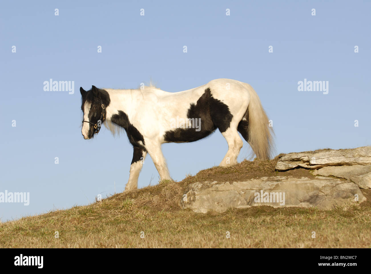 Tinker rock hi-res stock photography and images - Alamy