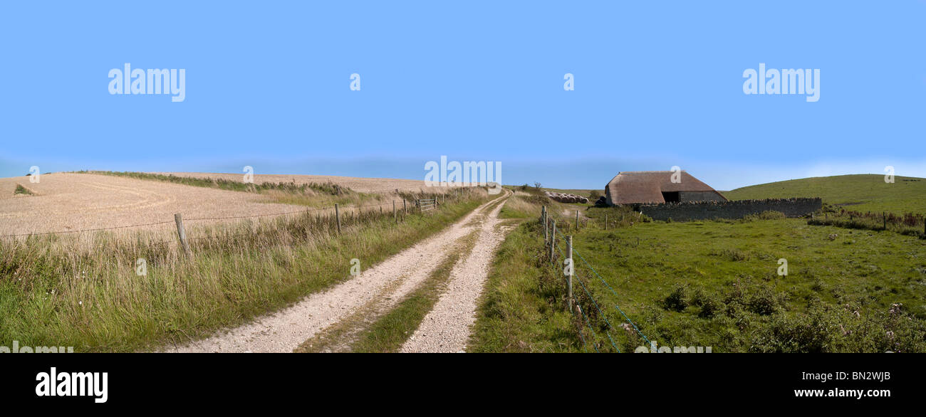 a farm road through countryside and farmland - ringstead bay dorset ...