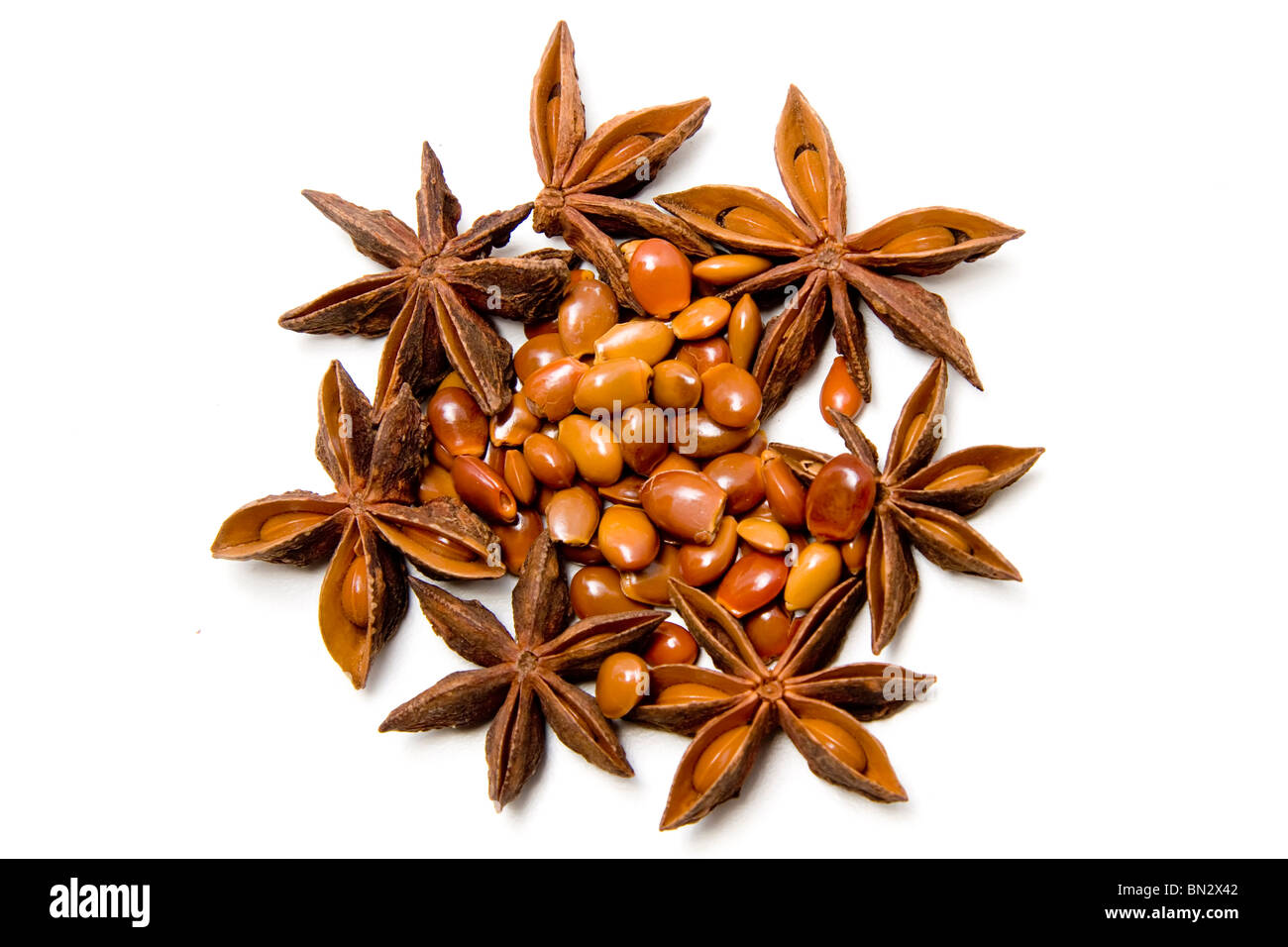star anise, seeds and pods on a white background Stock Photo - Alamy