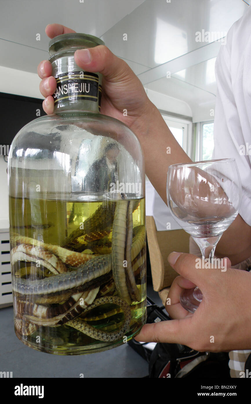snake in alcohol, Guilin, China Stock Photo - Alamy