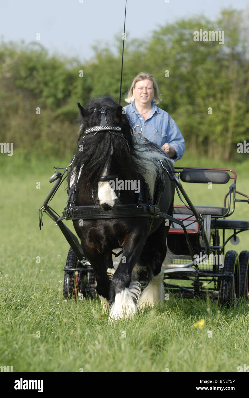 Irish traveller sulky hi-res stock photography and images - Alamy