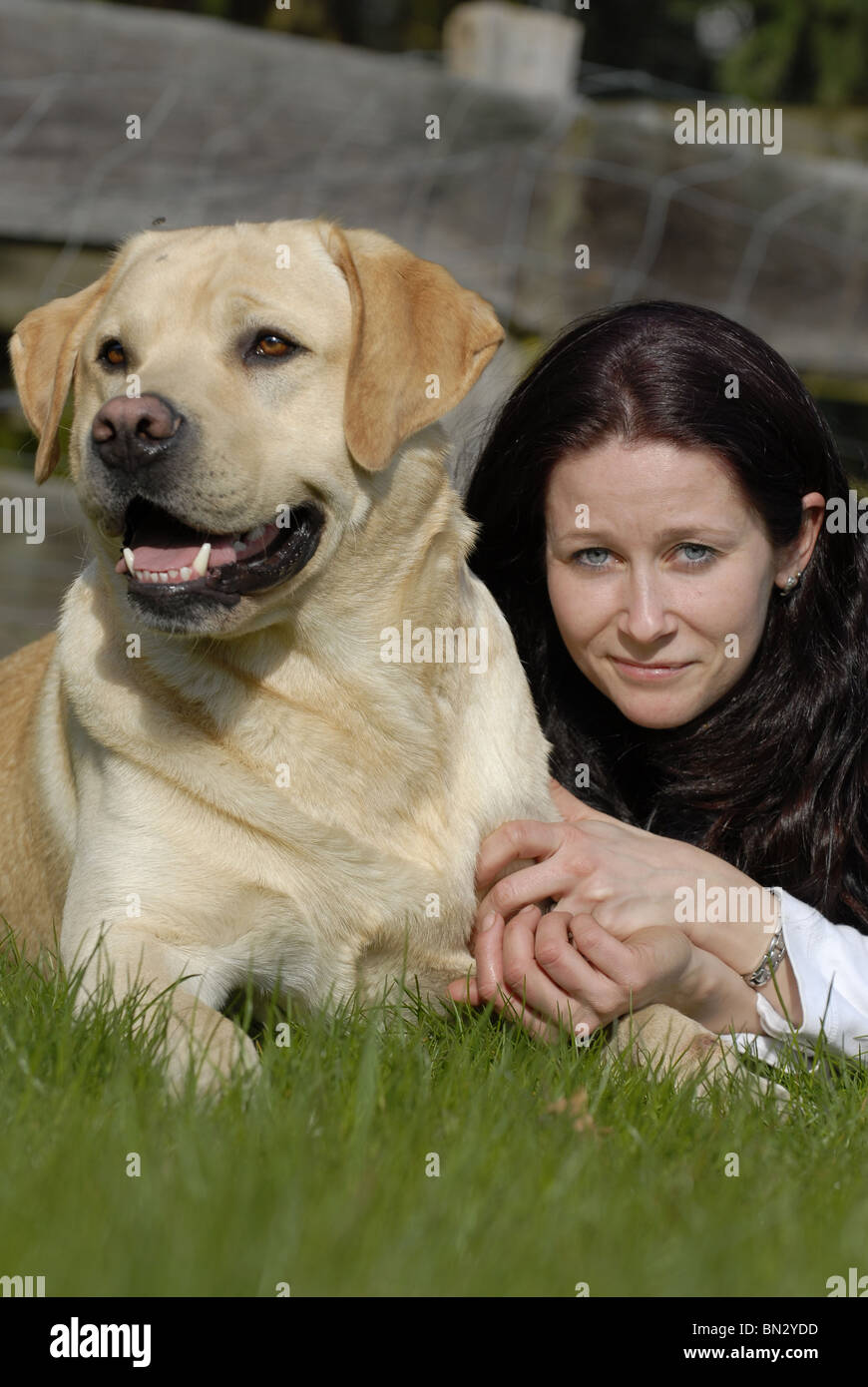 young woman with Labrador Stock Photo - Alamy