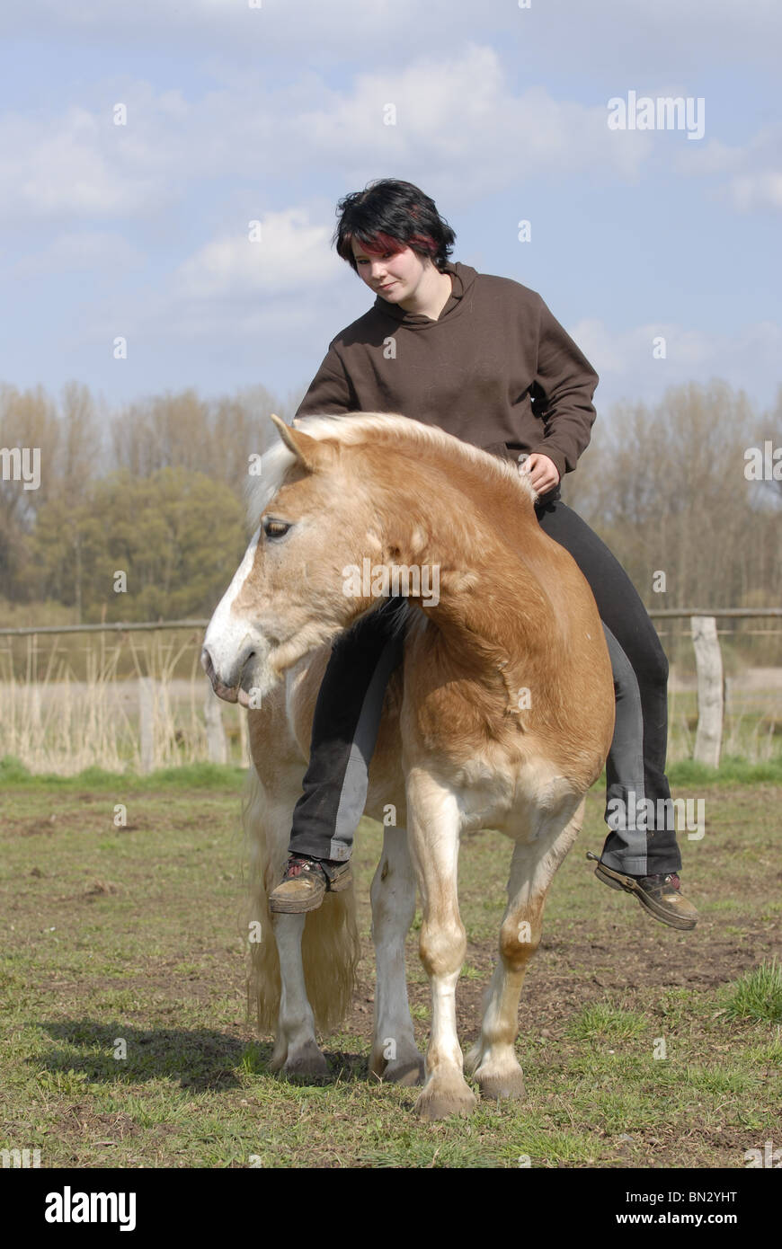 Rinding horse hi-res stock photography and images - Alamy