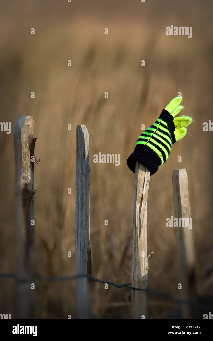 Lost mitten hi-res stock photography and images - Alamy