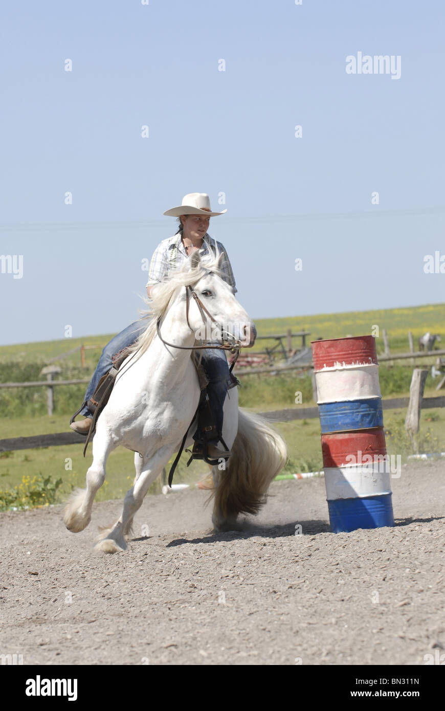 White horse barrel racing hi-res stock photography and images - Alamy