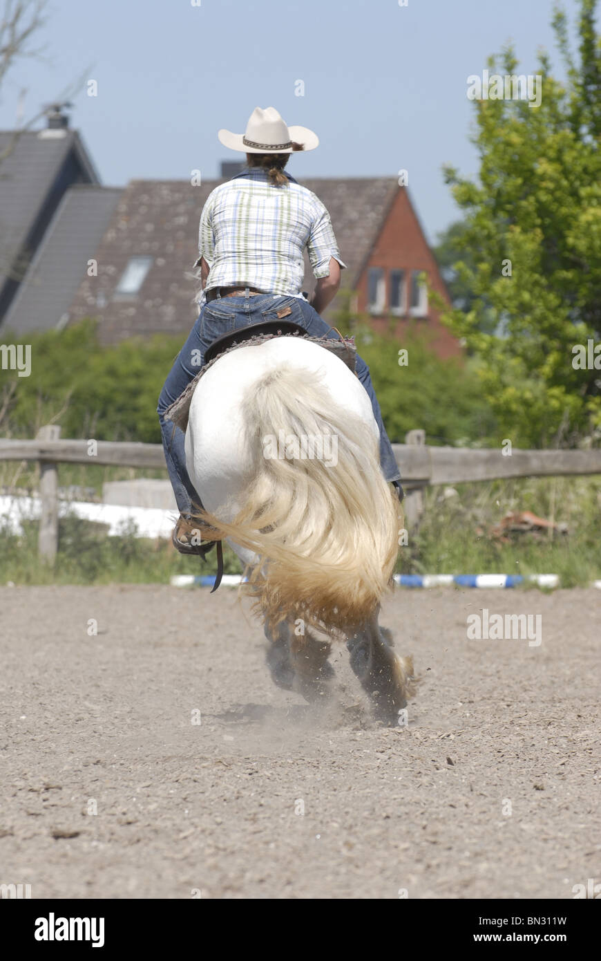 Rear view of barrel racing horse hi-res stock photography and images ...