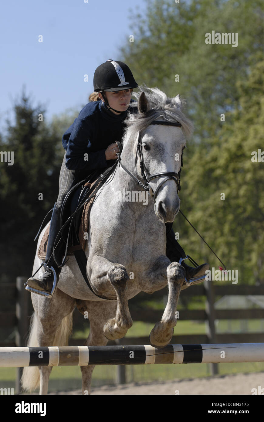 Pony jumping hi-res stock photography and images - Alamy