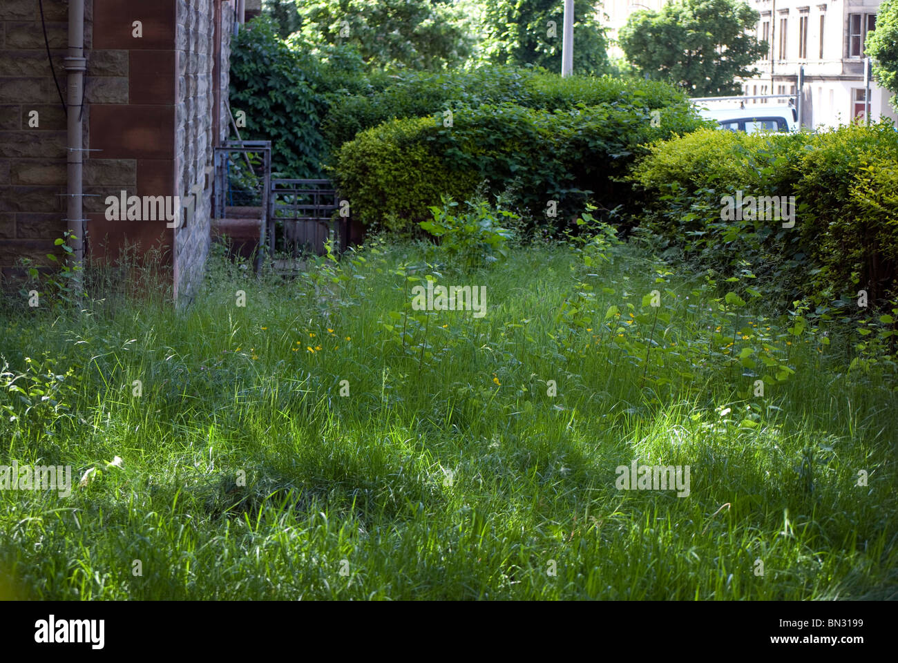 Overgrown garden hi-res stock photography and images - Alamy
