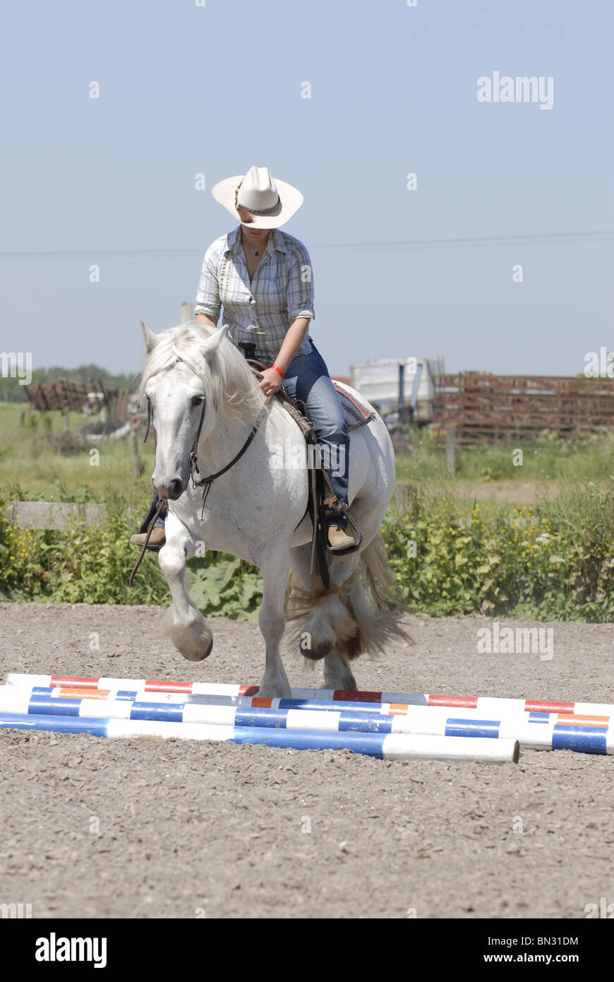 Cowgirl, horse, western, walking hi-res stock photography and images ...