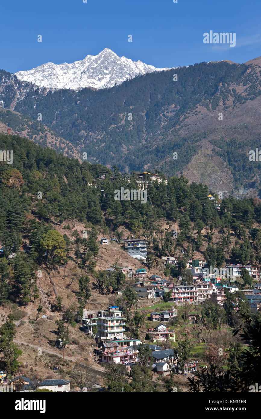 Himachal pradesh dharamsala mountain house hi-res stock photography and ...