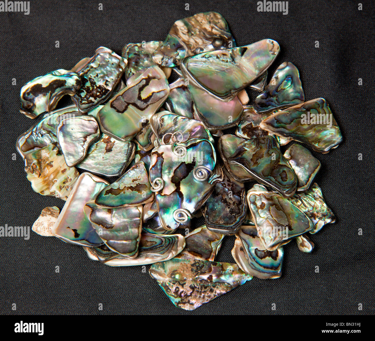 New Zealand Paua Shell Pieces