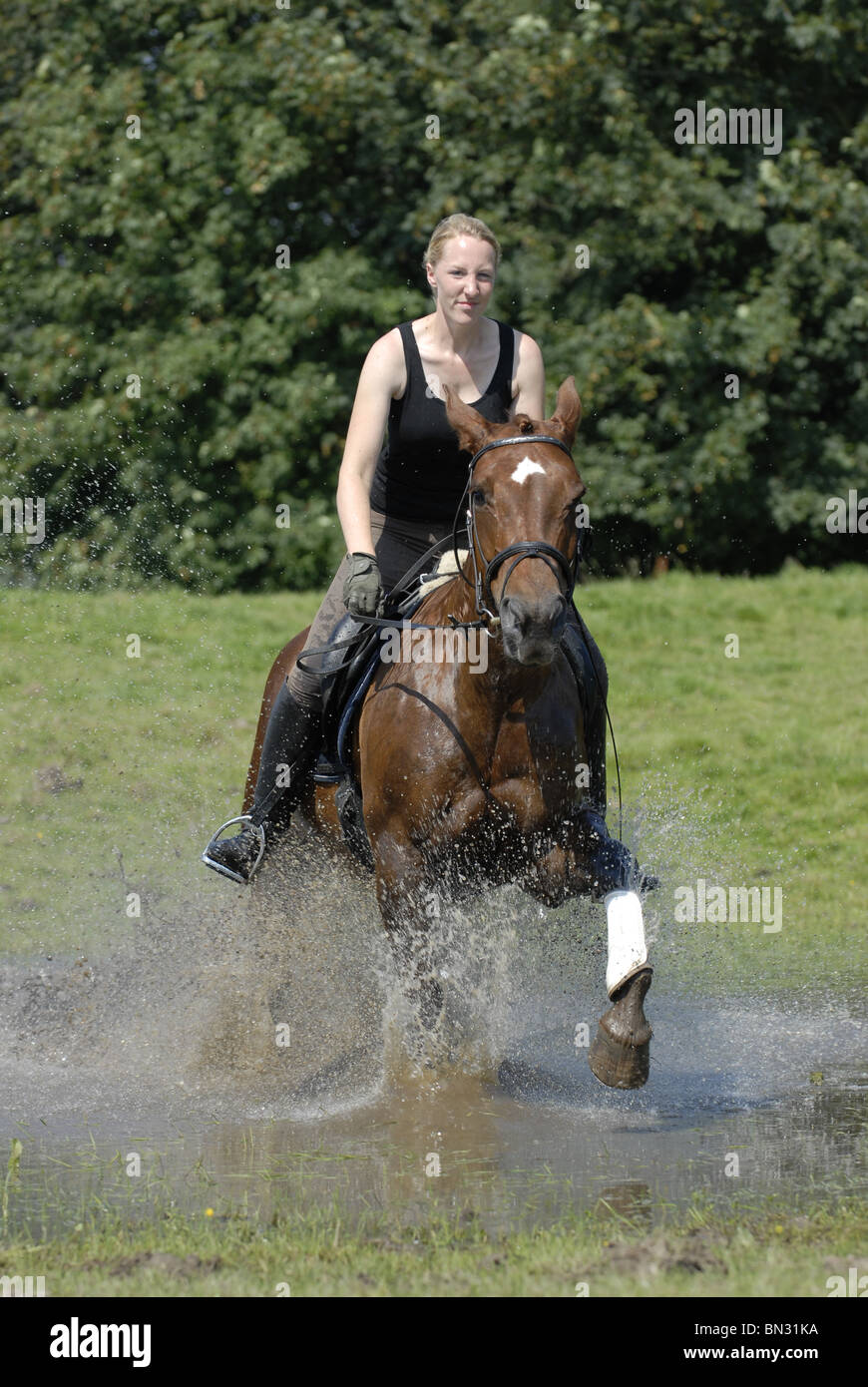 riding through water Stock Photo - Alamy