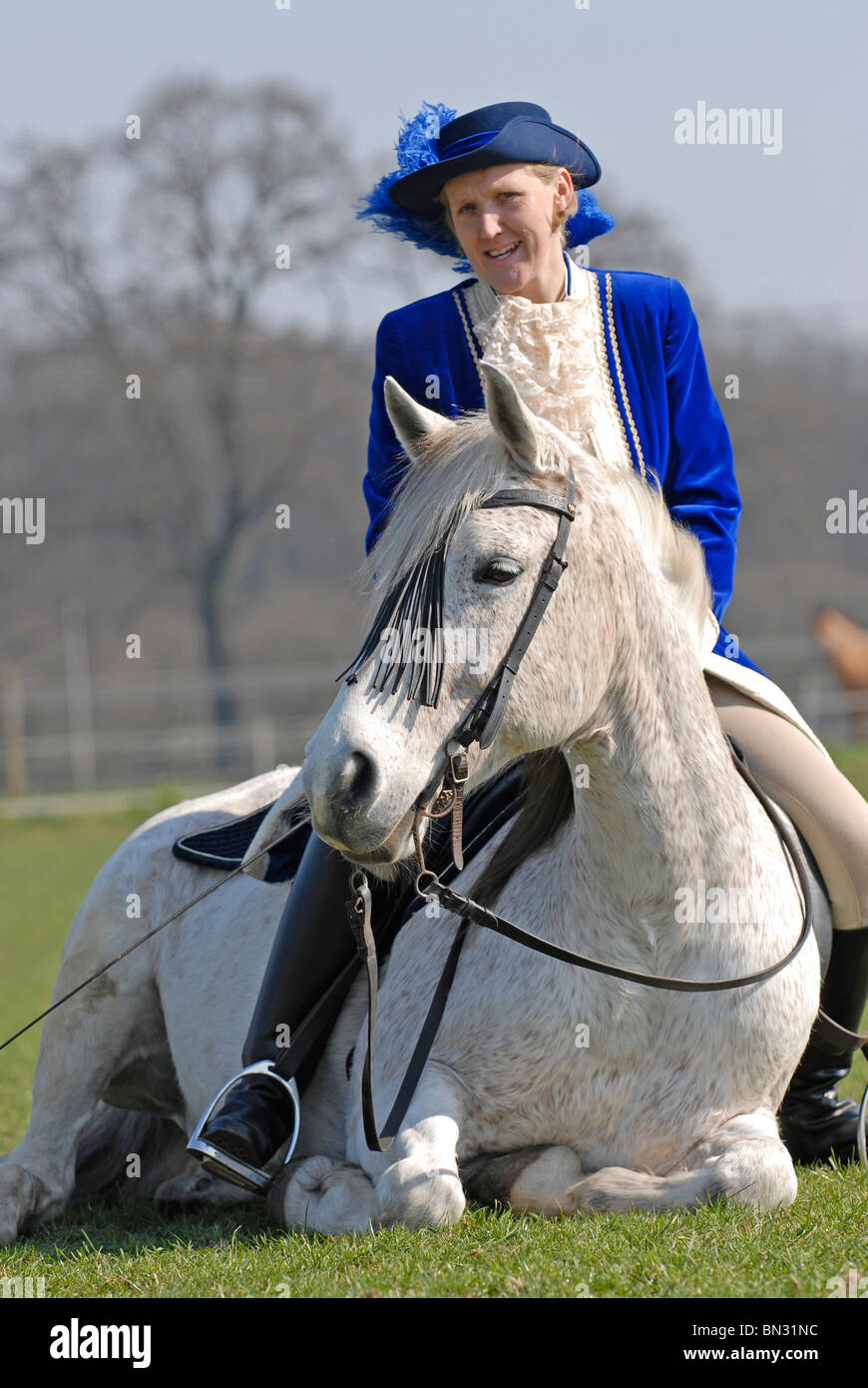 Showriding hi-res stock photography and images - Alamy