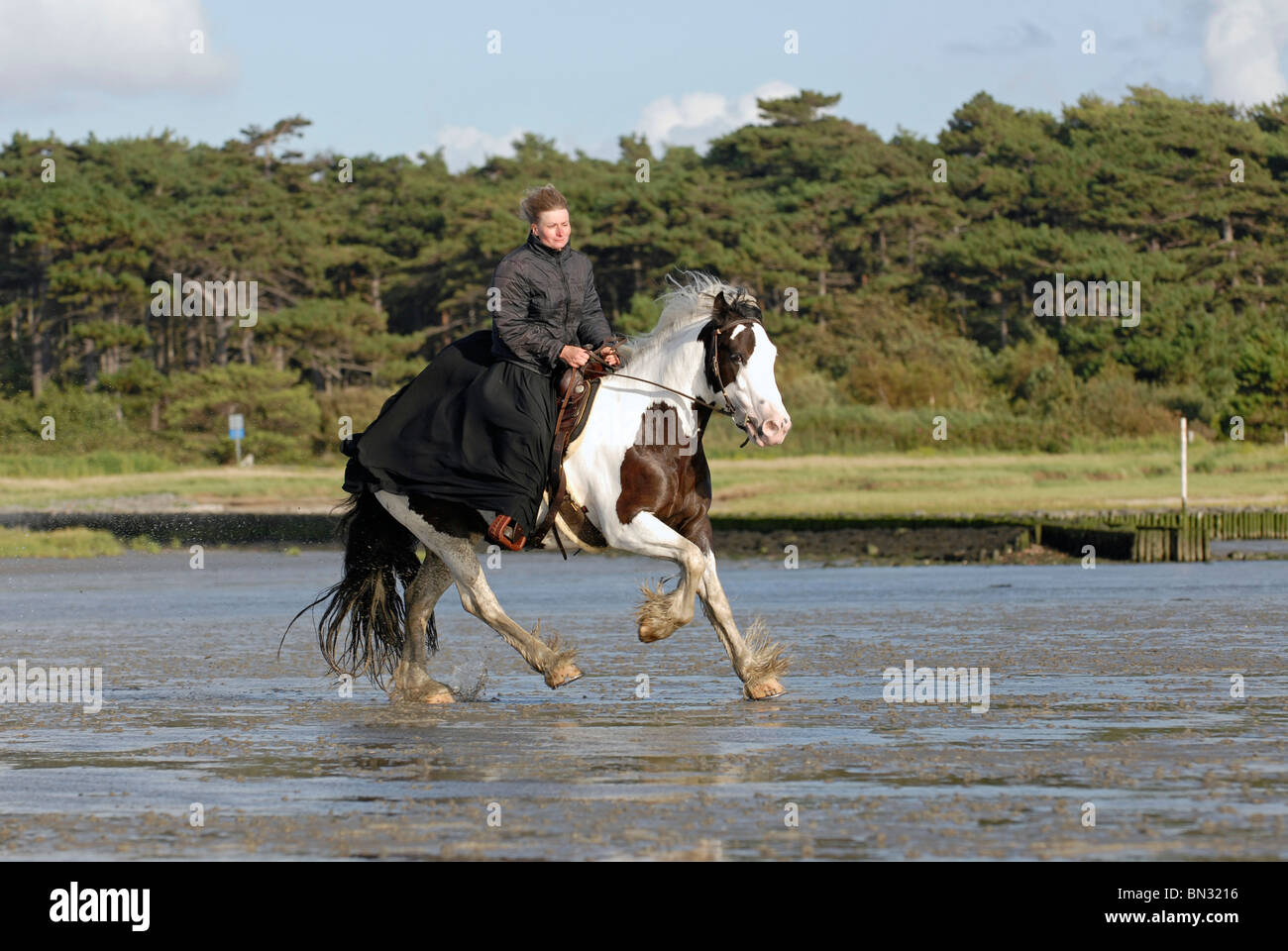 riding through mudflat Stock Photo - Alamy