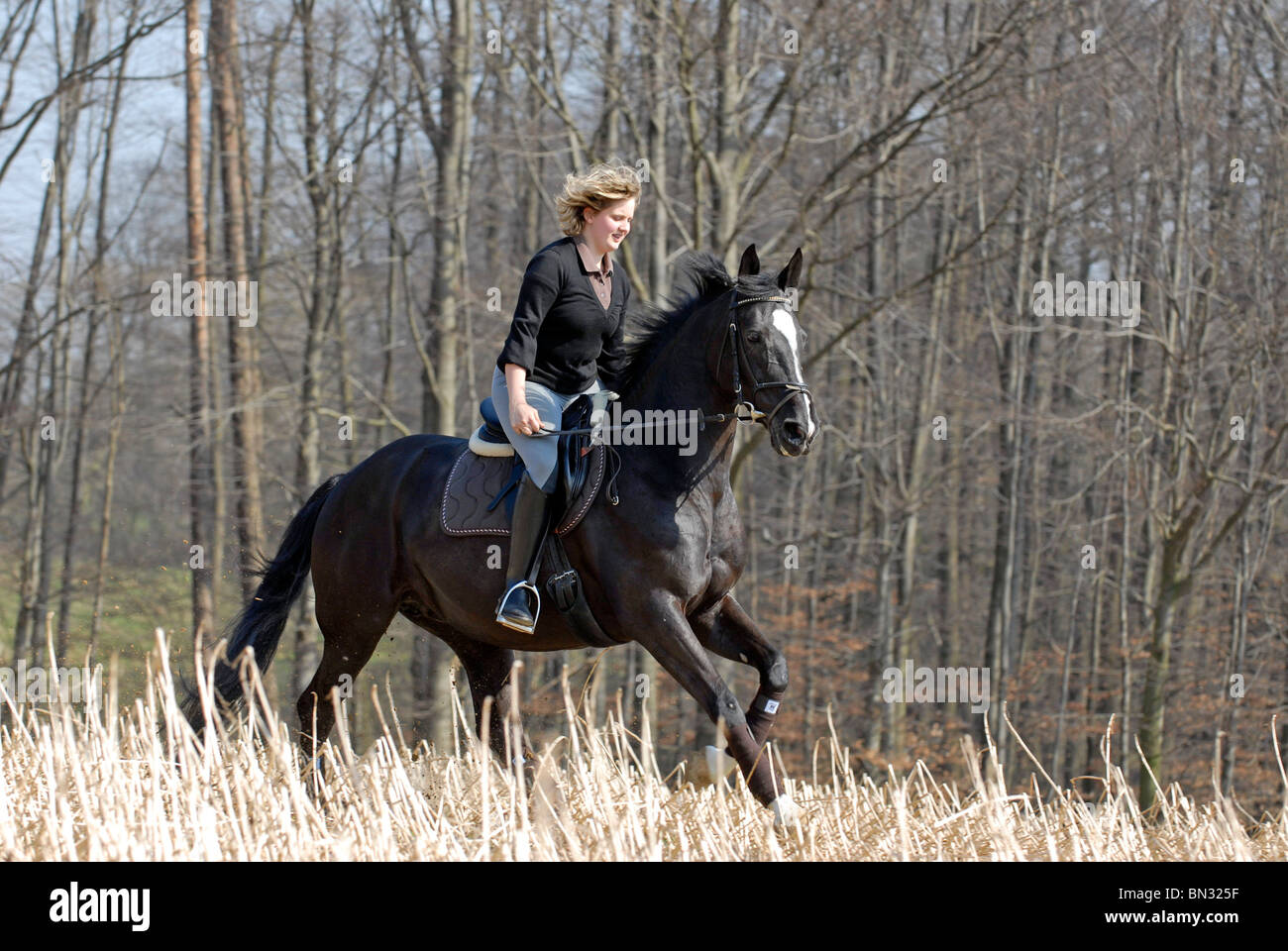 Reiterin feld hi-res stock photography and images - Alamy