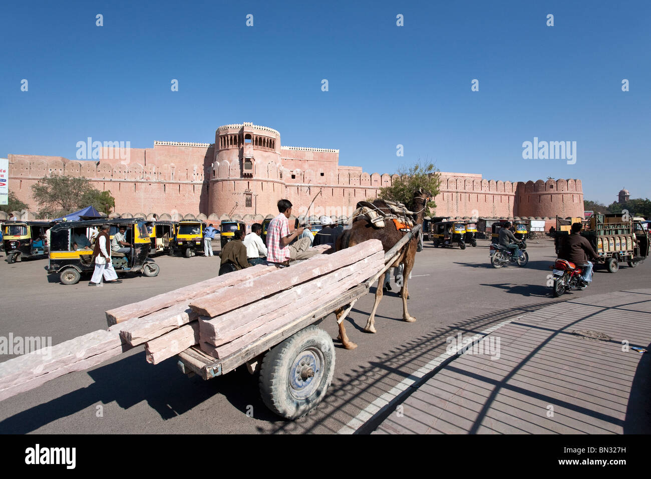 Camel pulling cart hi-res stock photography and images - Alamy