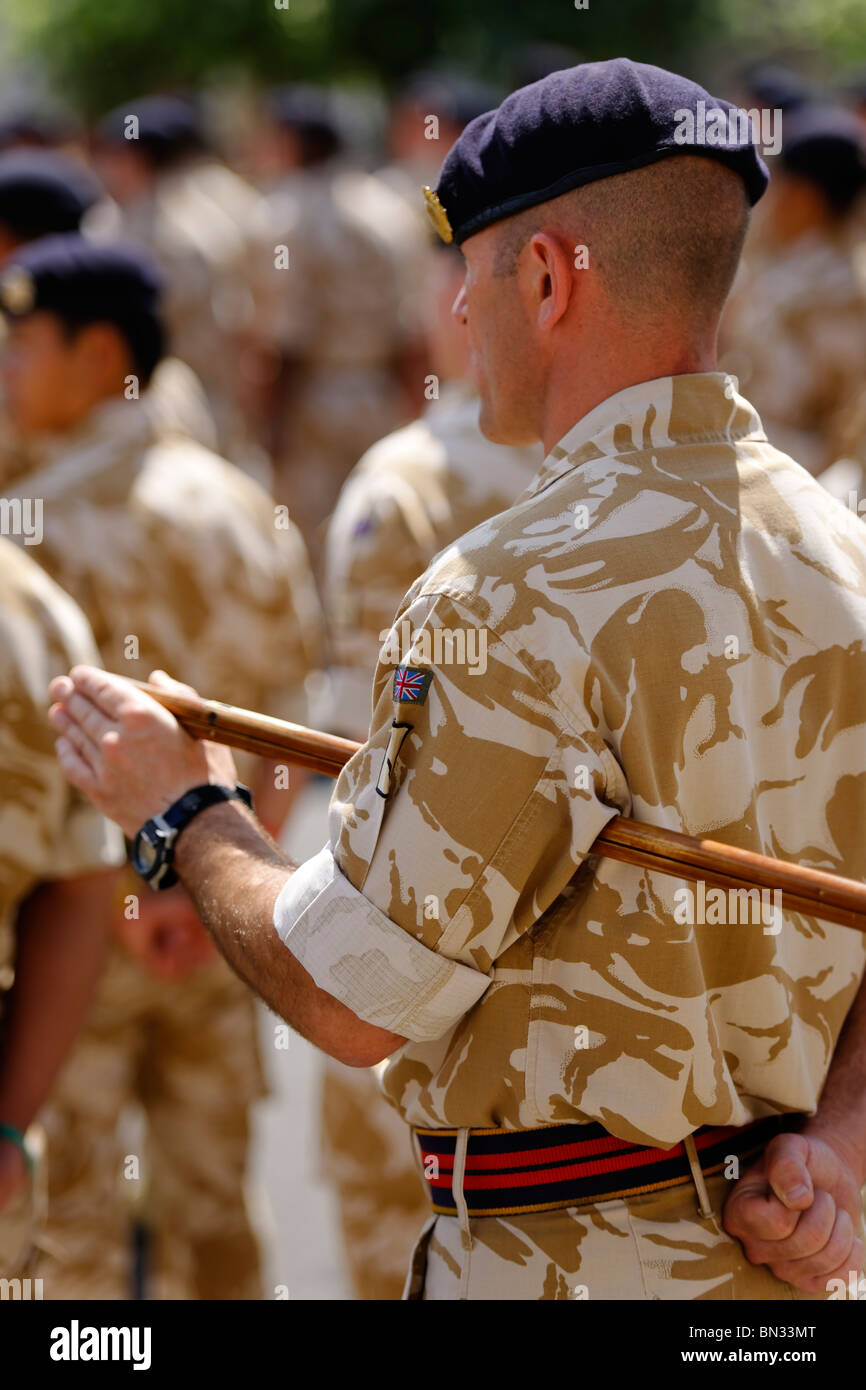 The Royal Logistic Corps on parade Stock Photo - Alamy