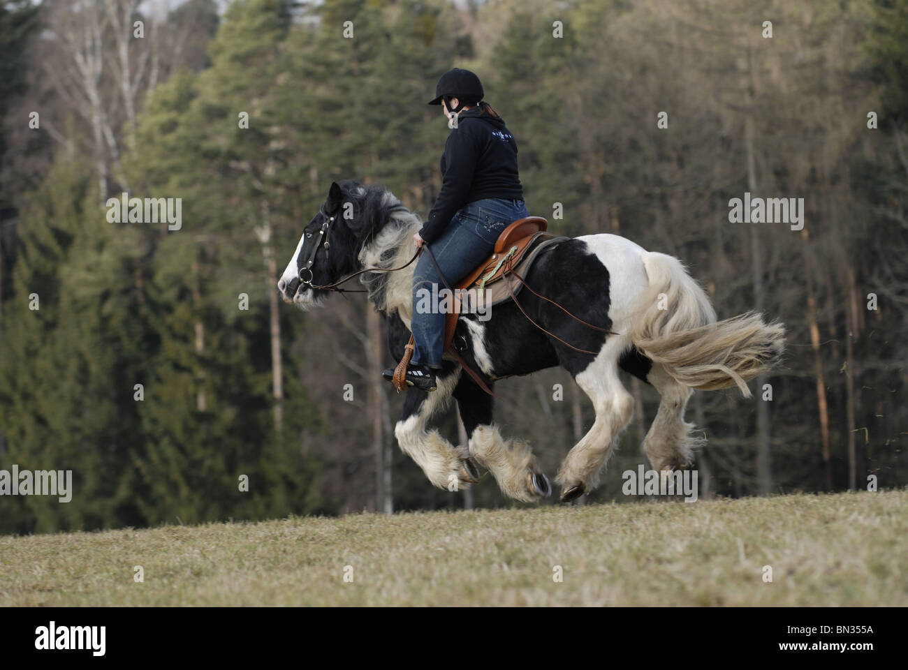 Irish traveller women hi-res stock photography and images - Alamy