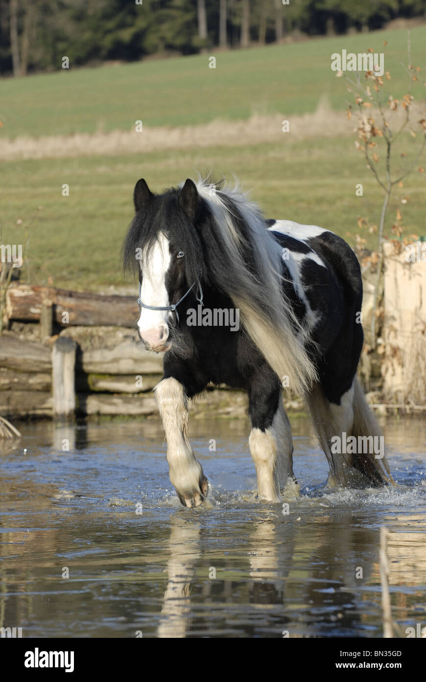 Tinker walks hi-res stock photography and images - Alamy
