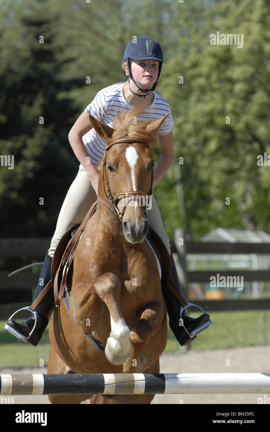Children horse riding jump hi-res stock photography and images - Alamy