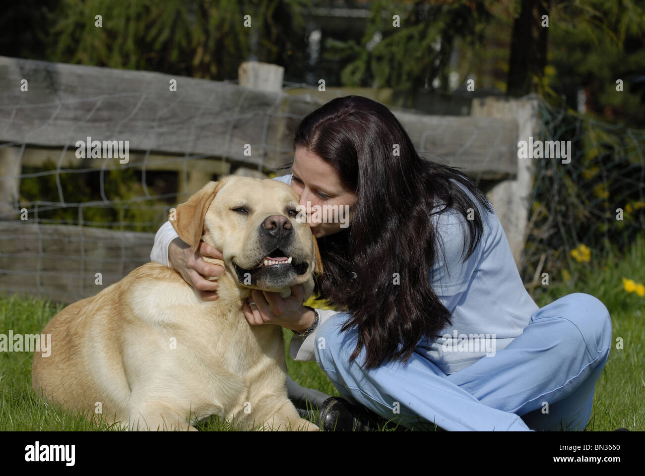 young woman with Labrador Stock Photo - Alamy