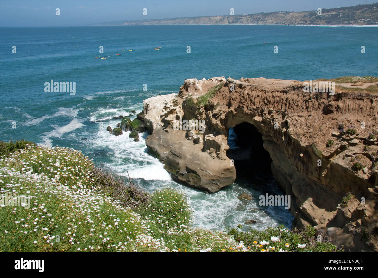 La jolla hi-res stock photography and images - Alamy