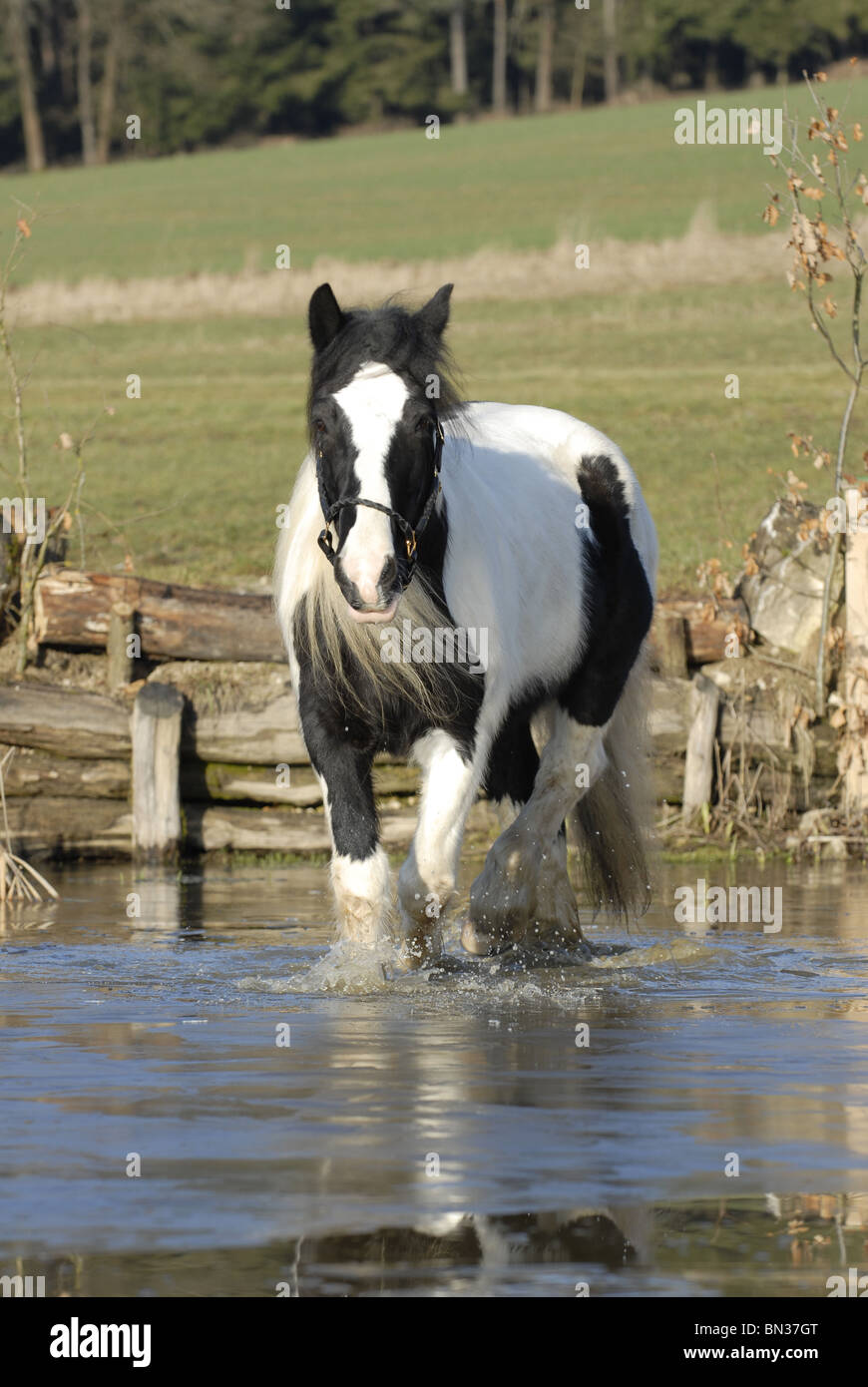 Tinker walks hi-res stock photography and images - Alamy