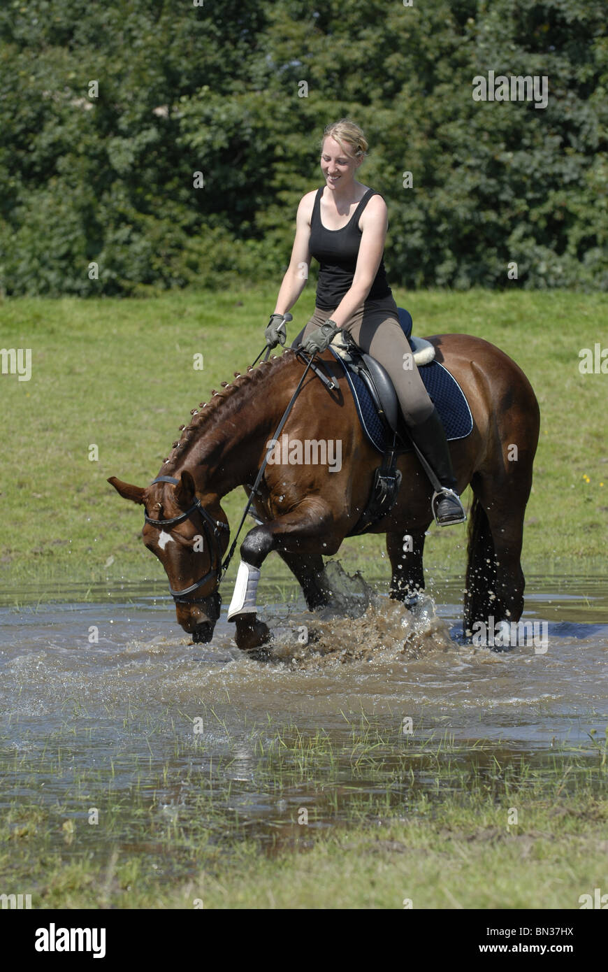 riding through water Stock Photo - Alamy
