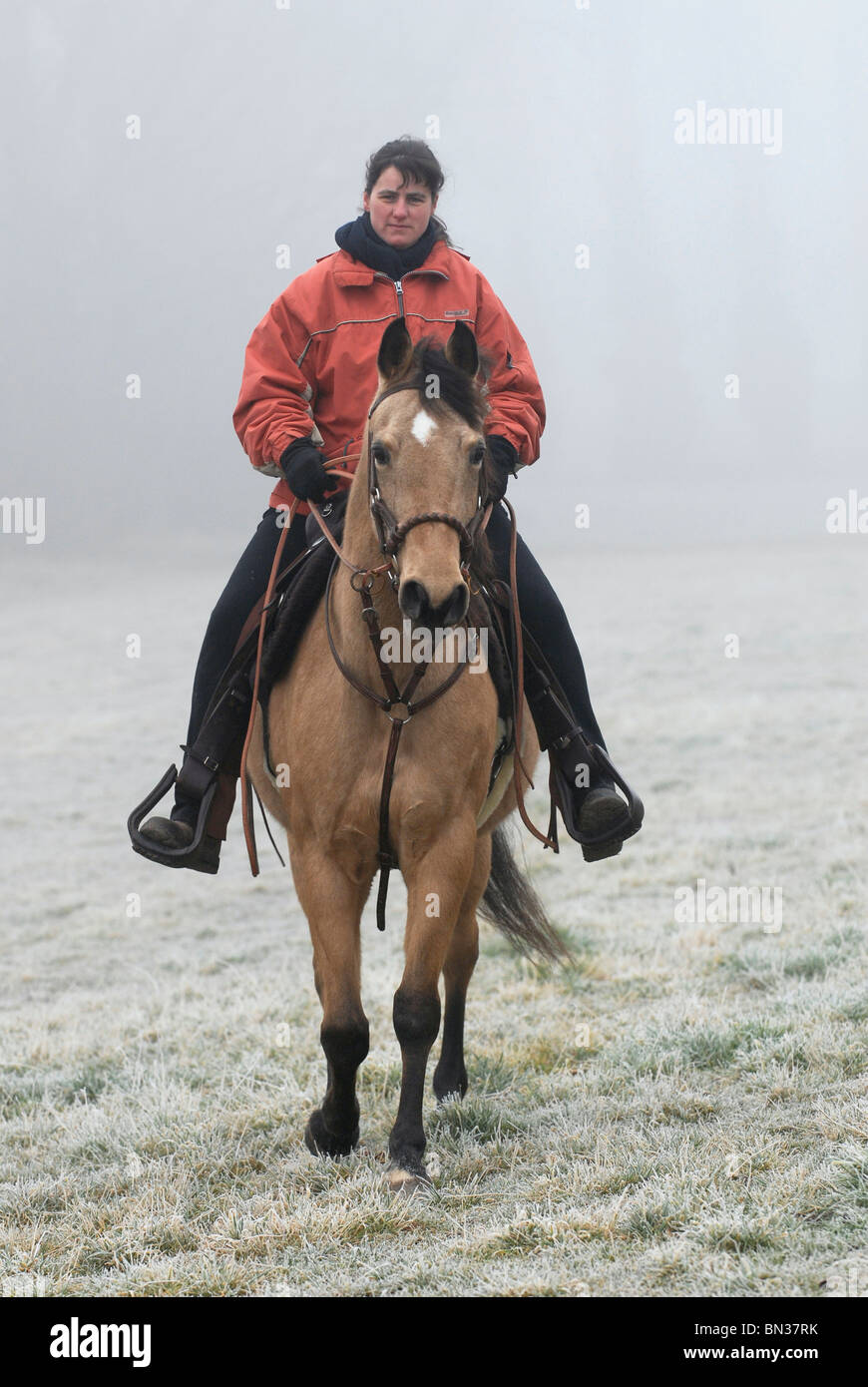 Quarab hi-res stock photography and images - Alamy