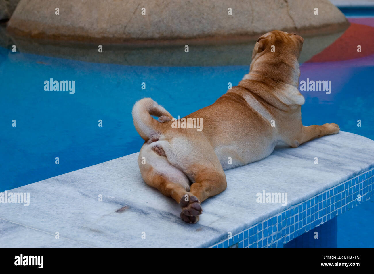 Old acapulco hi-res stock photography and images - Alamy