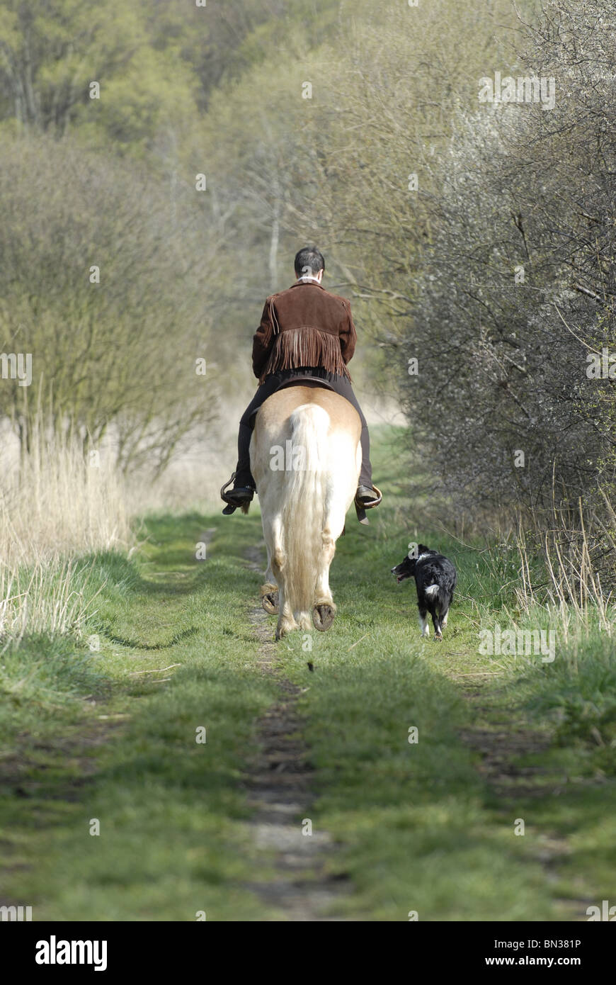 Two dogs rides hi-res stock photography and images - Alamy