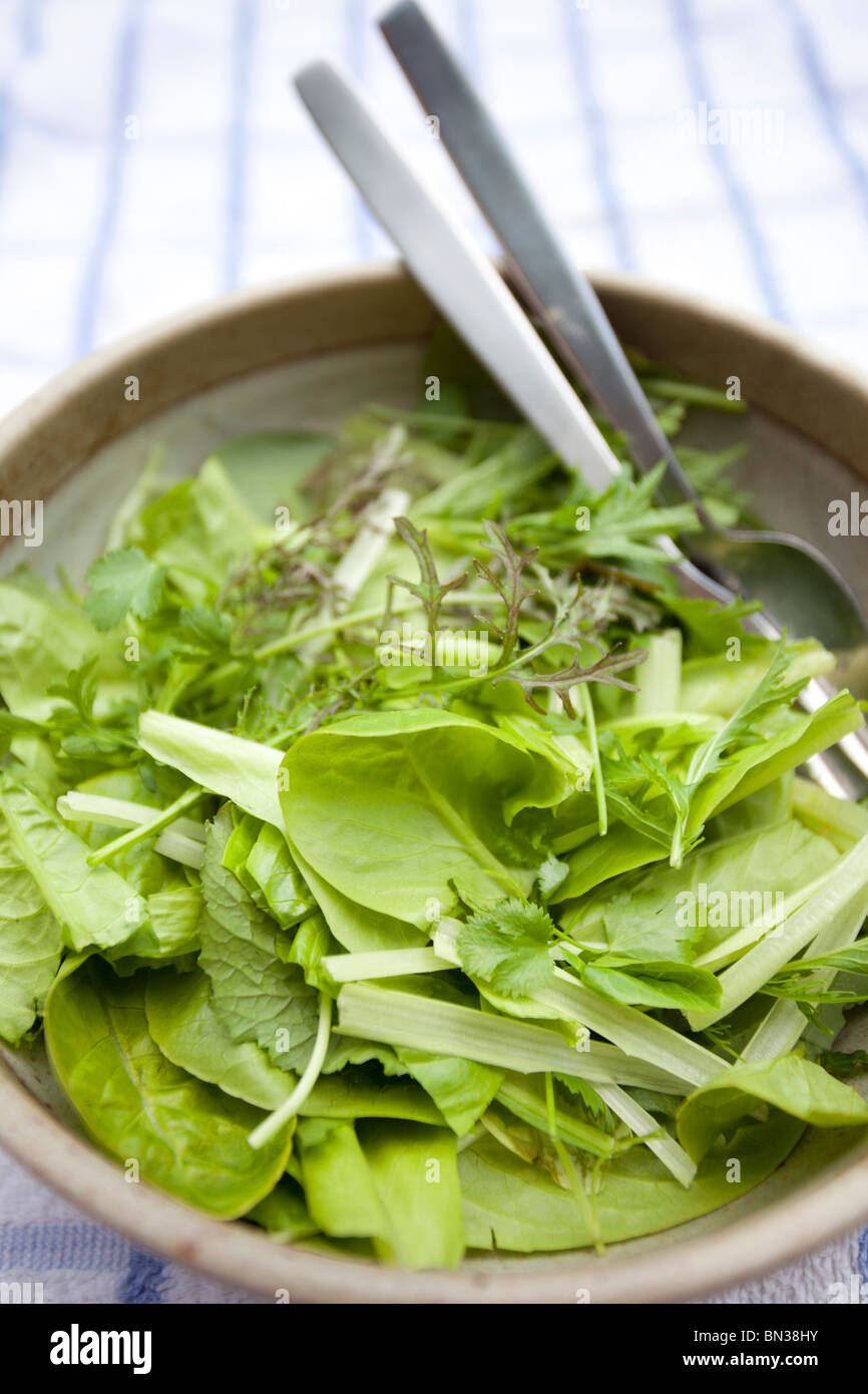 Washed mixed salad hi-res stock photography and images - Alamy