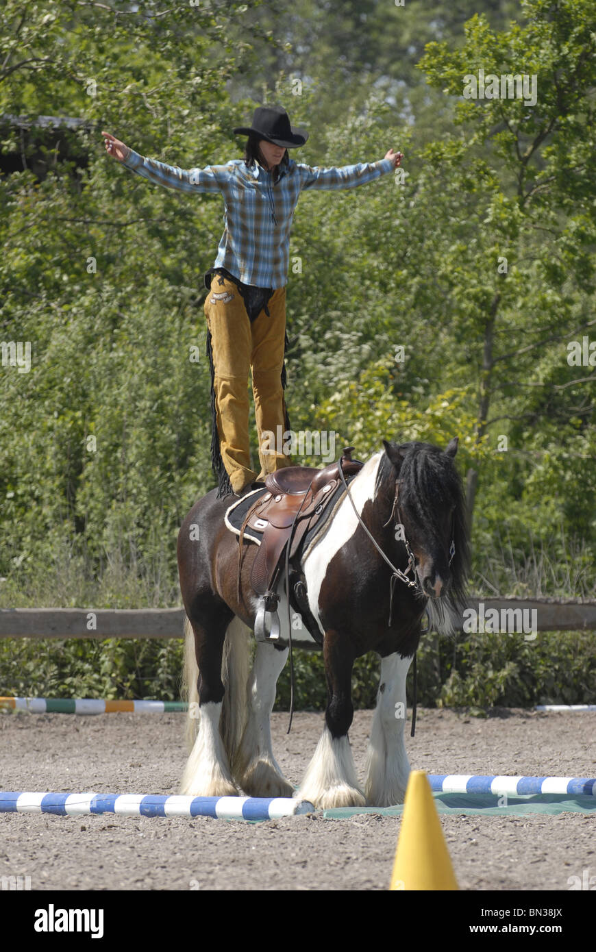 Trick riding horse stand hi-res stock photography and images - Alamy