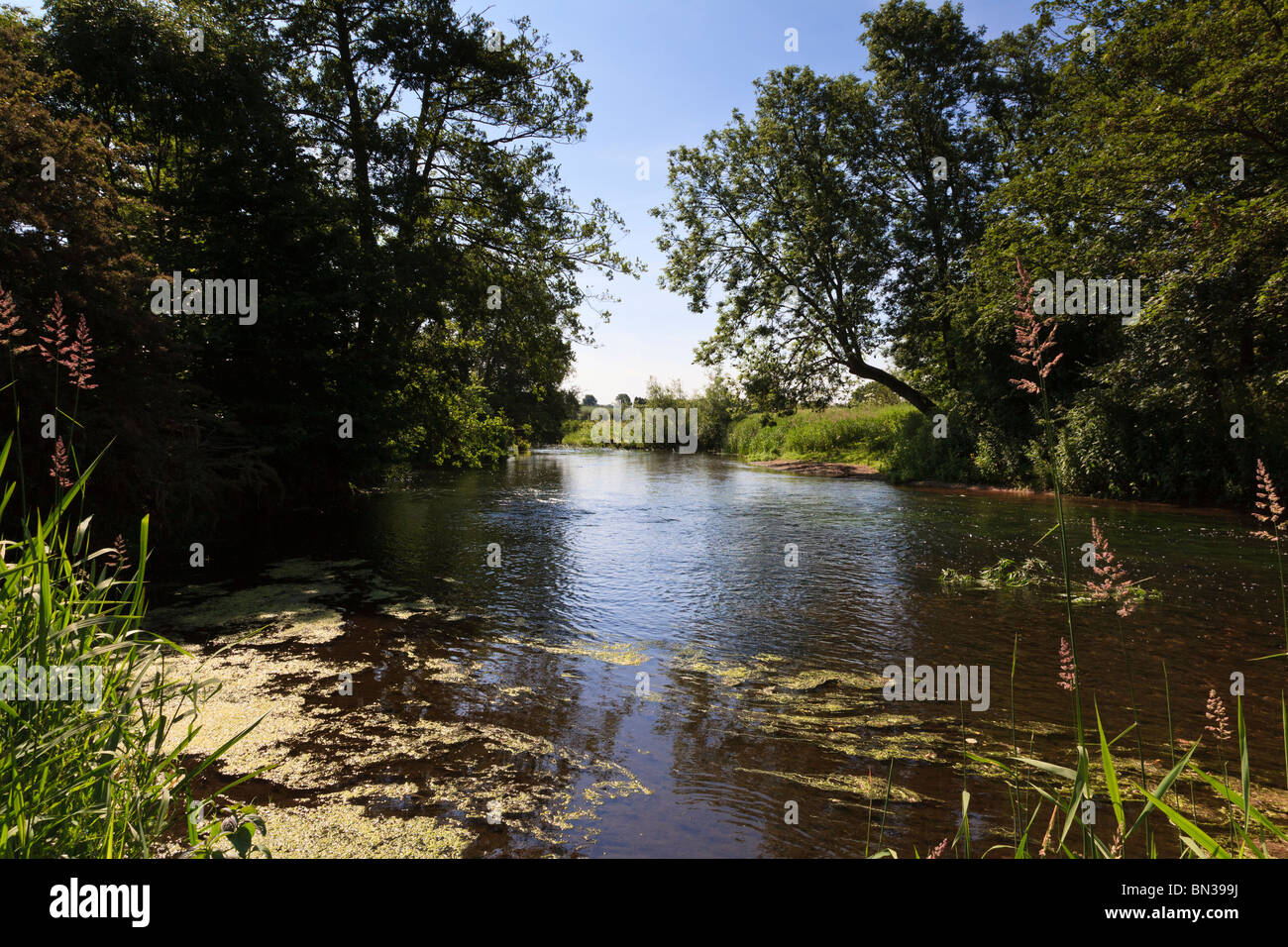 The great river ouse hi-res stock photography and images - Alamy