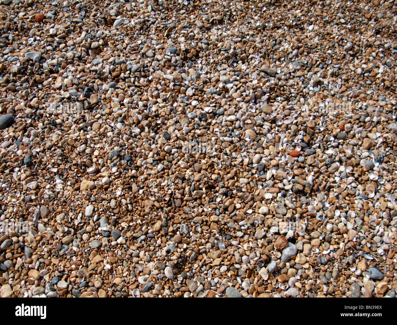 Brighton's stony beach Stock Photo - Alamy