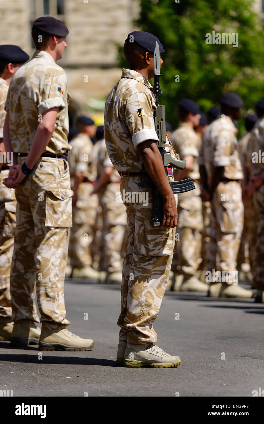 The Royal Logistic Corps on parade Stock Photo - Alamy