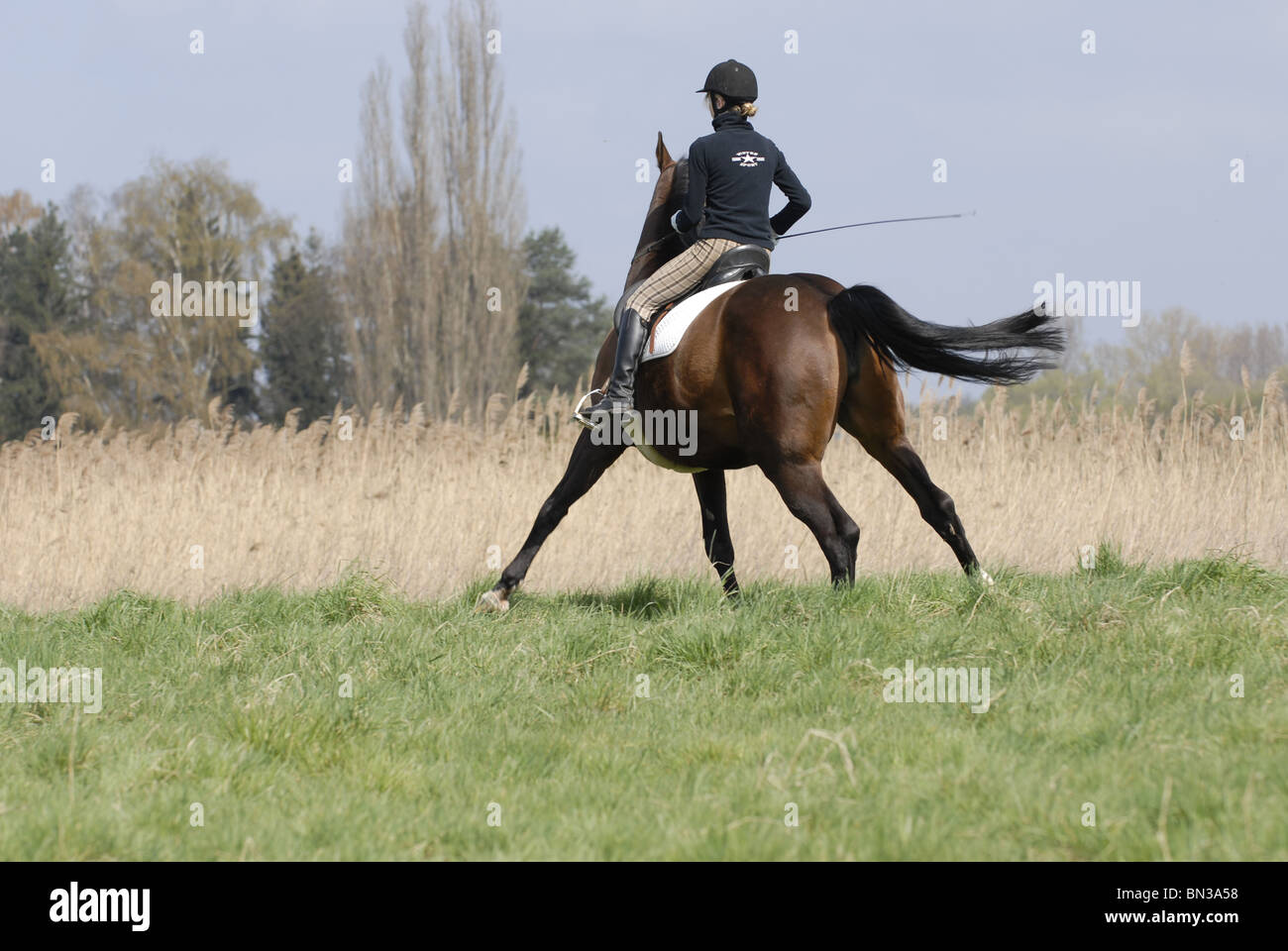 Horses bolting hi-res stock photography and images - Alamy