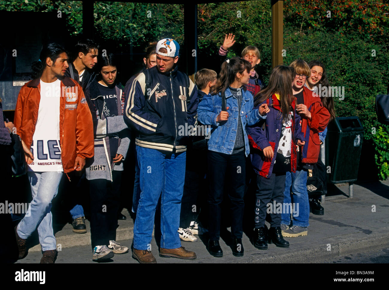 What Are Belgian People Like