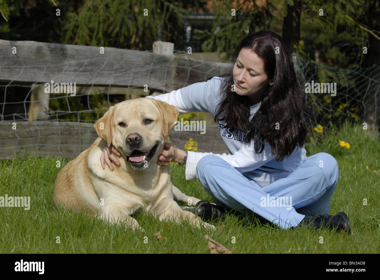 young woman with Labrador Stock Photo - Alamy