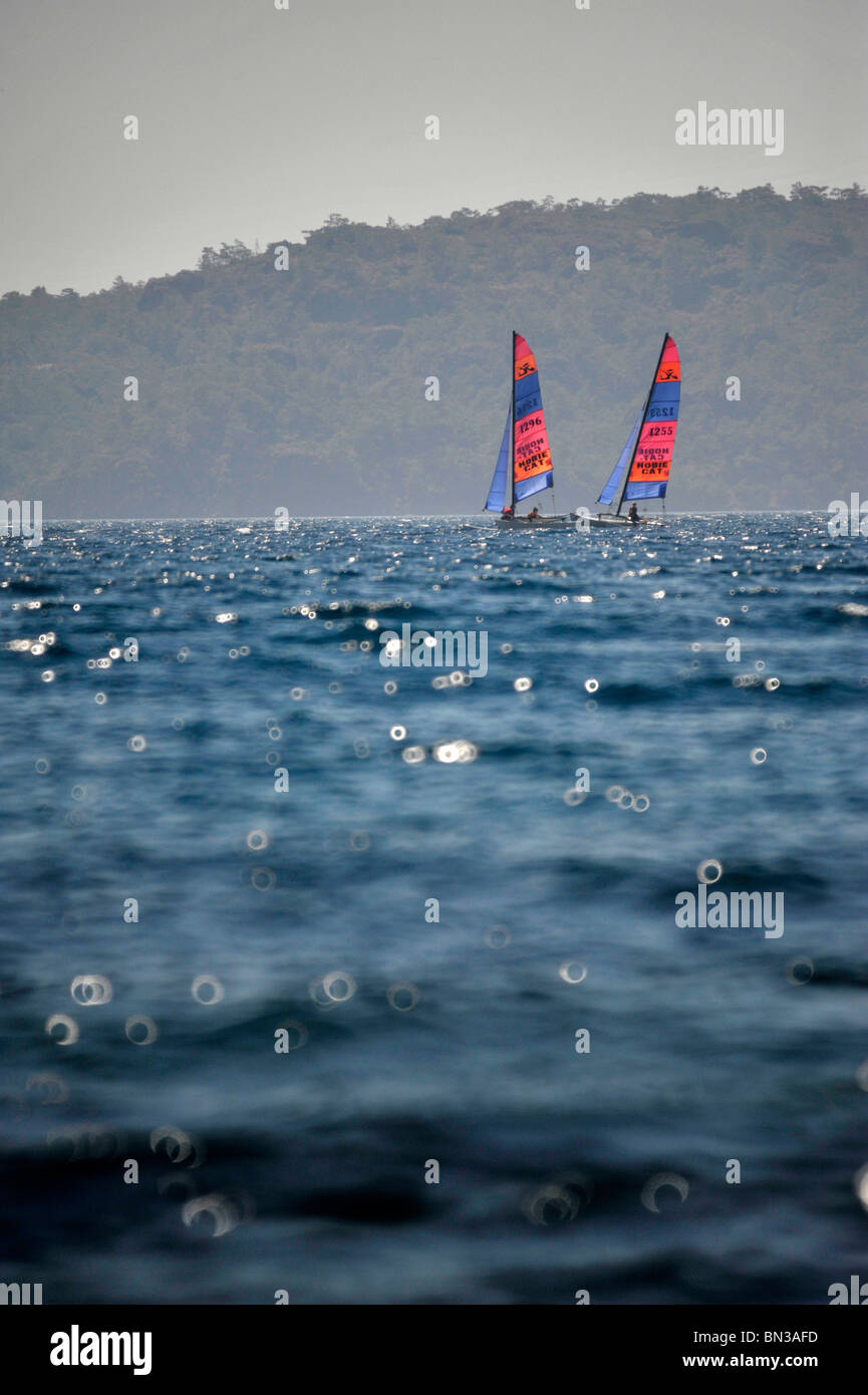 two hobie cats sailing Stock Photo - Alamy