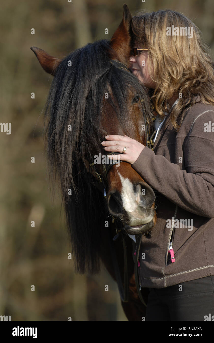 Lusitano horses heads hi-res stock photography and images - Alamy