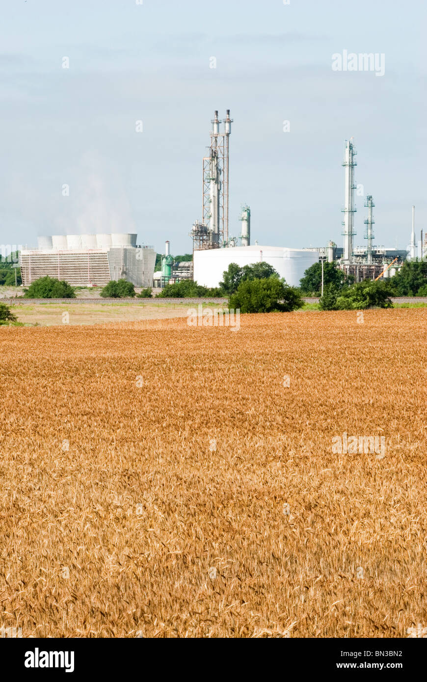 Fertilizer factory High Resolution Stock Photography and Images - Alamy